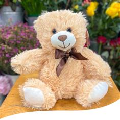 SW Bloom's Peter Bear